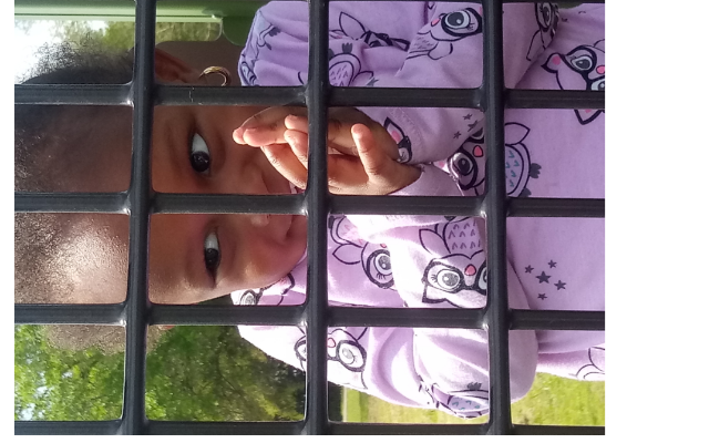 Order Terry Nelson eGift Cards