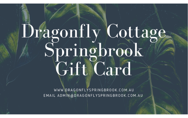 Order Dragonfly Cottage Springbrook eGift Cards