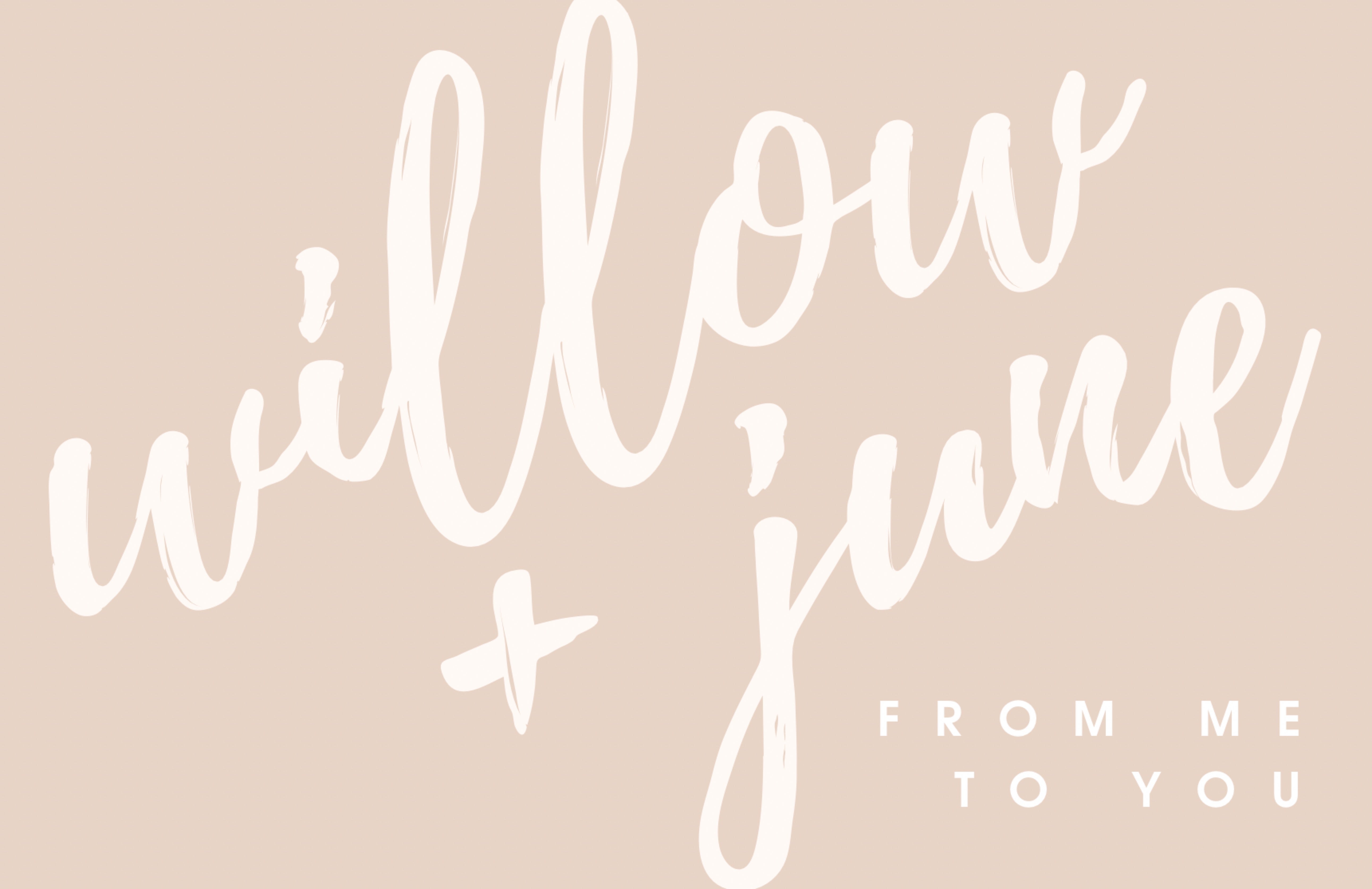 willow + june the studio in Conshohocken, PA