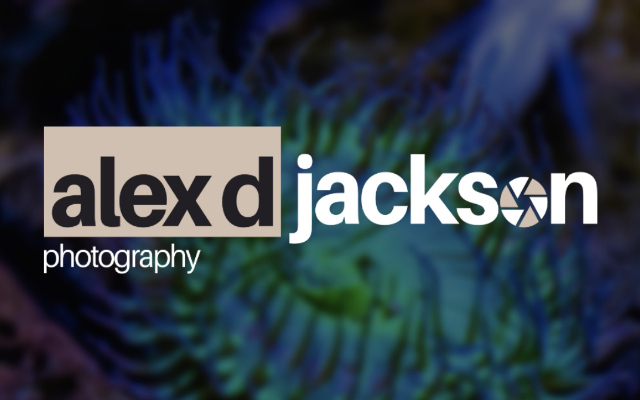 Alex D Jackson Photography