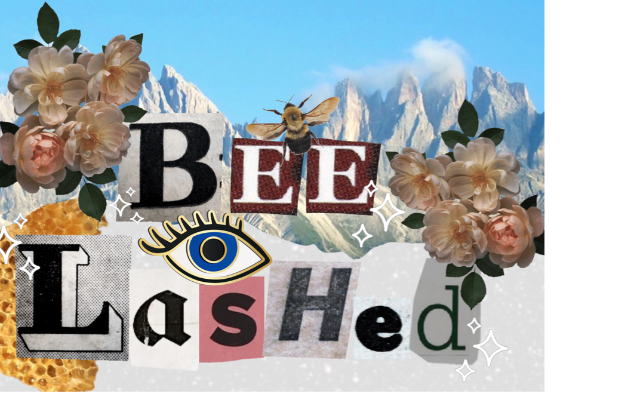 Order Bee Lashed eGift Cards